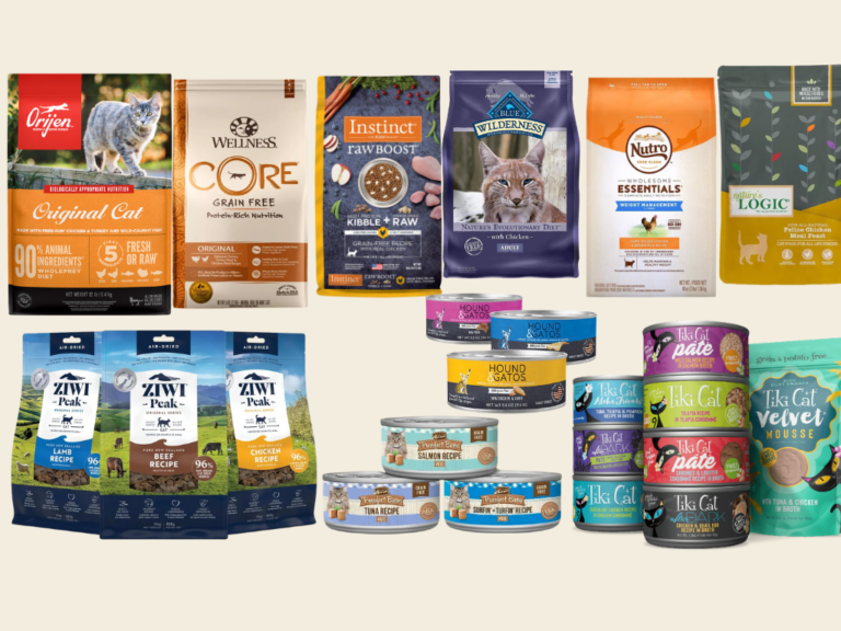 Top 10 Cat Food Brands with the Healthiest Ingredients Your Cat Will ...
